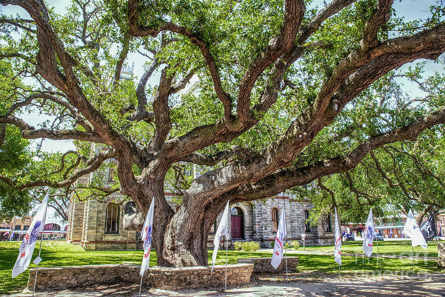 Goliad County, Texas
